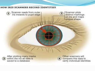 Pattern recognition IRIS recognition | PPTX
