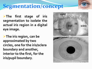 Pattern recognition IRIS recognition | PPTX