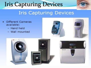 Pattern recognition IRIS recognition | PPTX