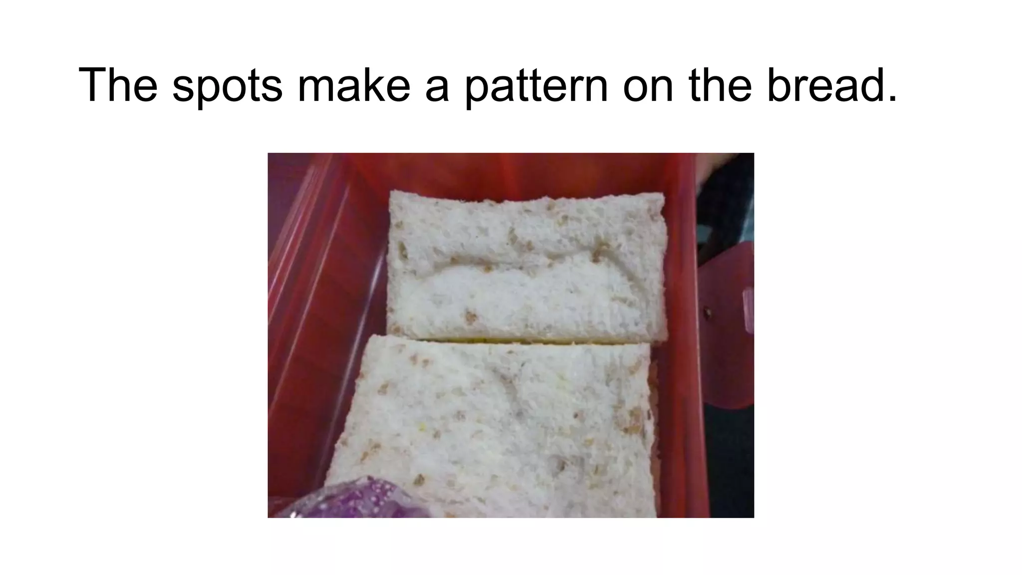 Patterns, Patterns, Everywhere! | PPTX