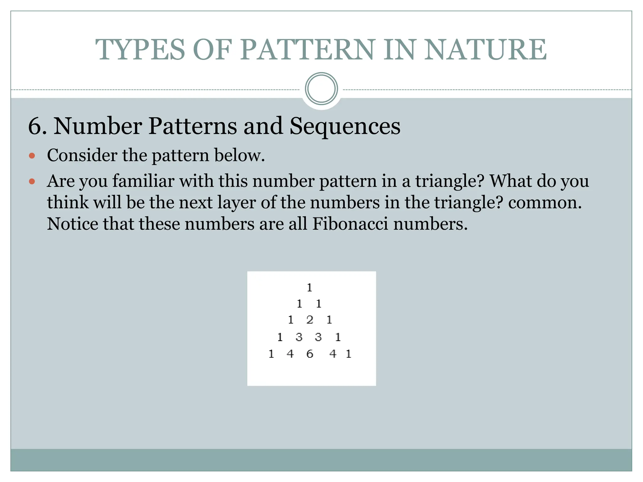 PATTERNS-AND-NUMBERS-IN-NATURE.pdf