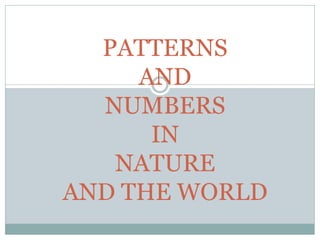 PATTERNS-AND-NUMBERS-IN-NATURE.pdf | Science