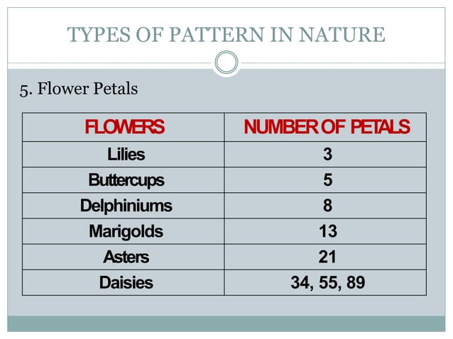 PATTERNS-AND-NUMBERS-IN-NATURE.pdf | Science