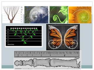 PATTERNS-AND-NUMBERS-IN-NATURE.pdf | Science