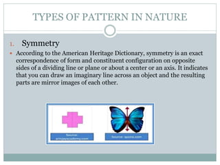 PATTERNS-AND-NUMBERS-IN-NATURE.pdf | Science