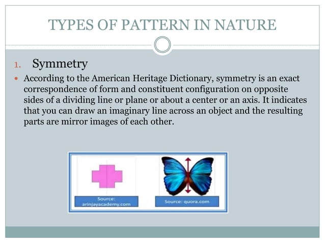 PATTERNS-AND-NUMBERS-IN-NATURE.pdf | Science