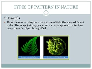 PATTERNS-AND-NUMBERS-IN-NATURE.pdf | Science