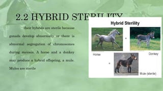 Patterns-of-Modification.pptx