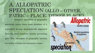 Patterns-of-Modification.pptx