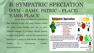 Patterns-of-Modification.pptx