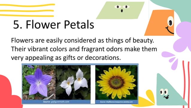 Patterns and Numbers in nature and the World.pptx