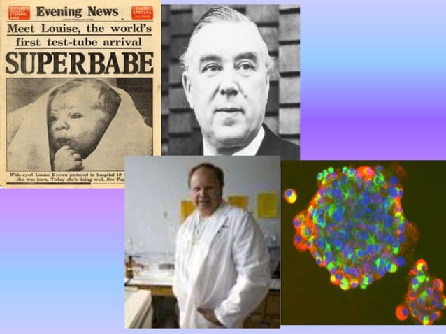 Pattern seeking across pictures | PPT | Science