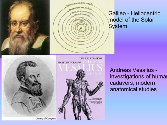 Pattern seeking across pictures | PPT | Science