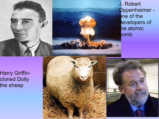 Pattern seeking across pictures | PPT | Science