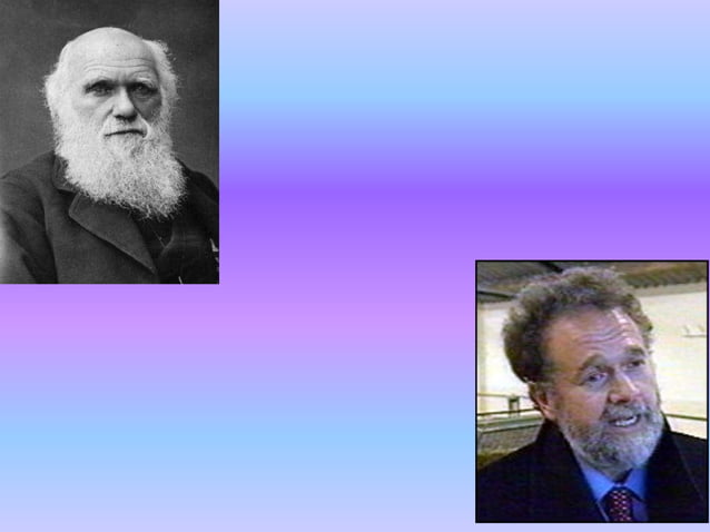 Pattern seeking across pictures | PPT | Science