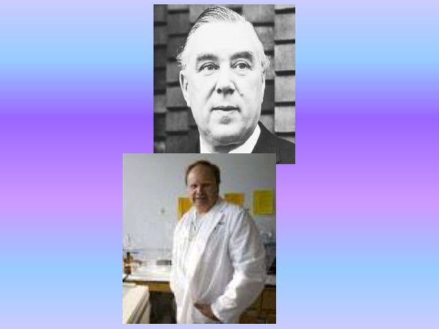 Pattern seeking across pictures | PPT | Science