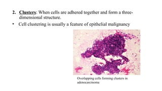 Cytopathological pattern in cytology pathology | PPTX