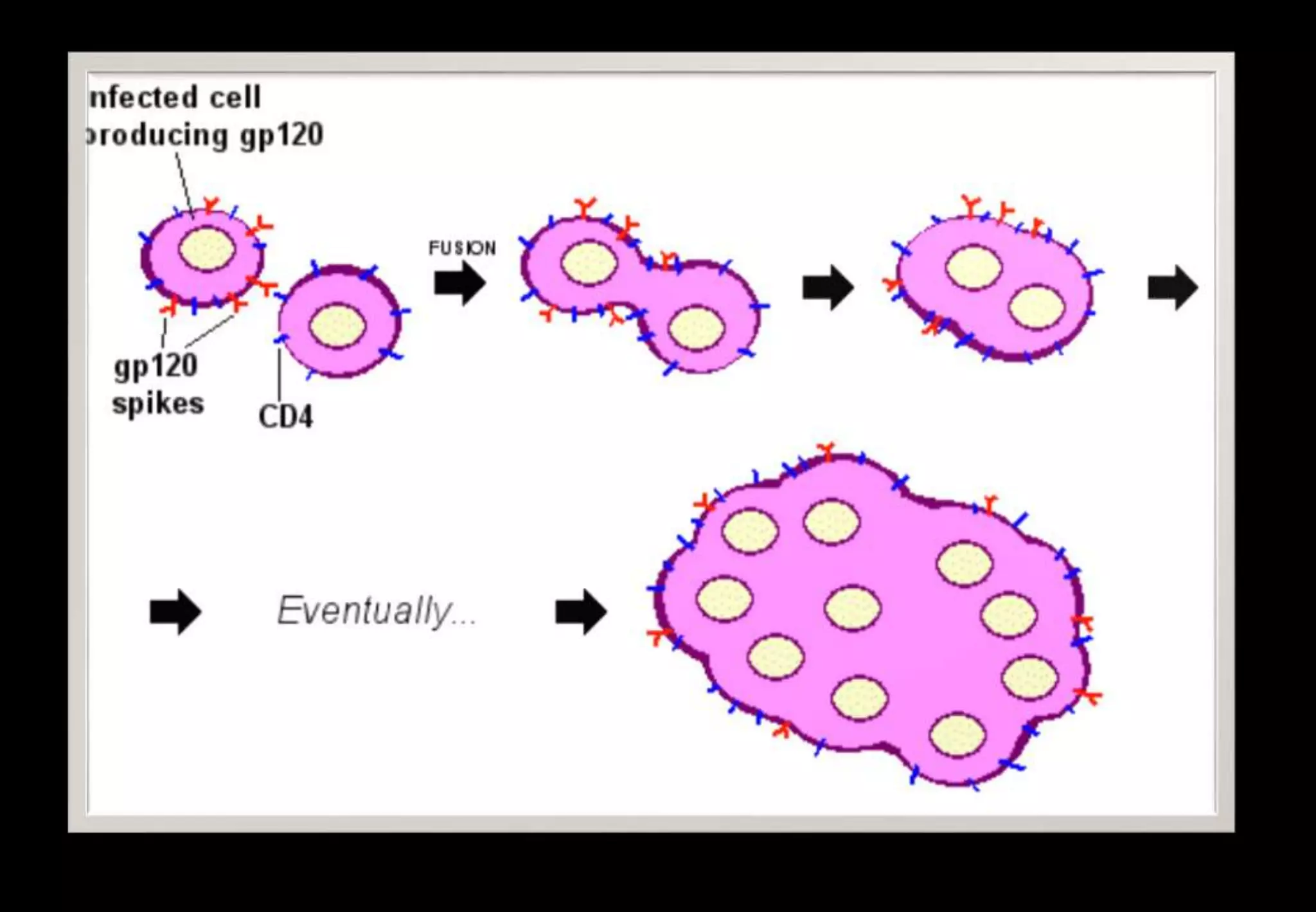 Patterns in histopathology | PPTX