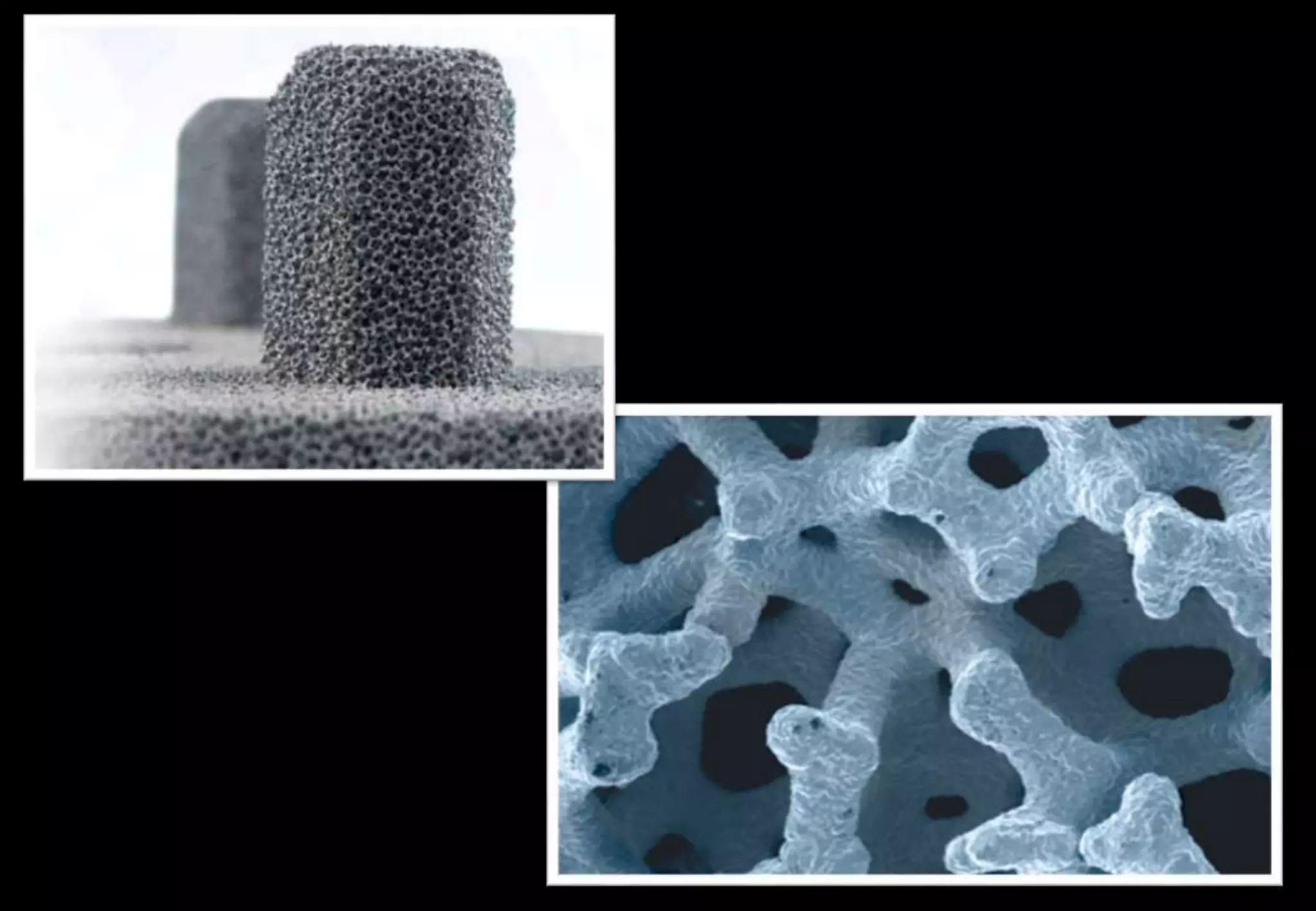 Patterns in histopathology | PPTX