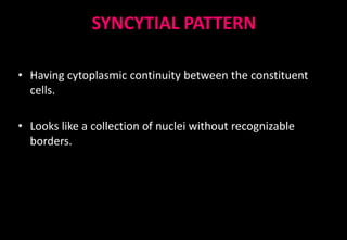Patterns in histopathology | PPTX