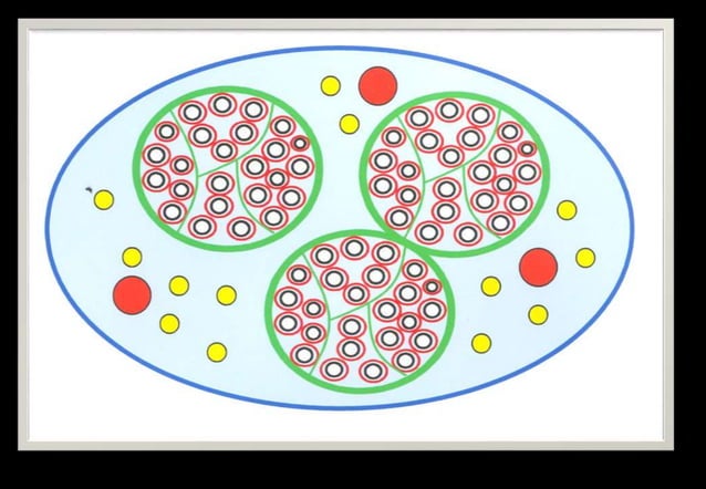 Patterns in histopathology | PPTX | Lung and Respiratory Health ...
