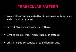 Patterns in histopathology | PPTX