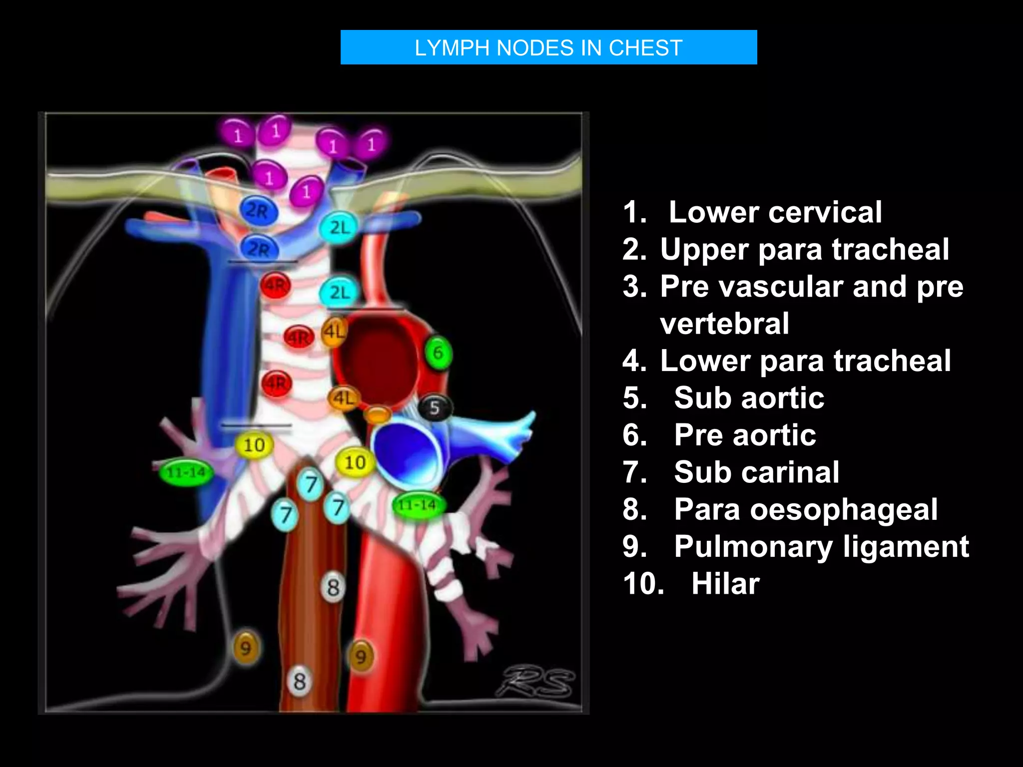 Patterns in HRCT chest | PPTX