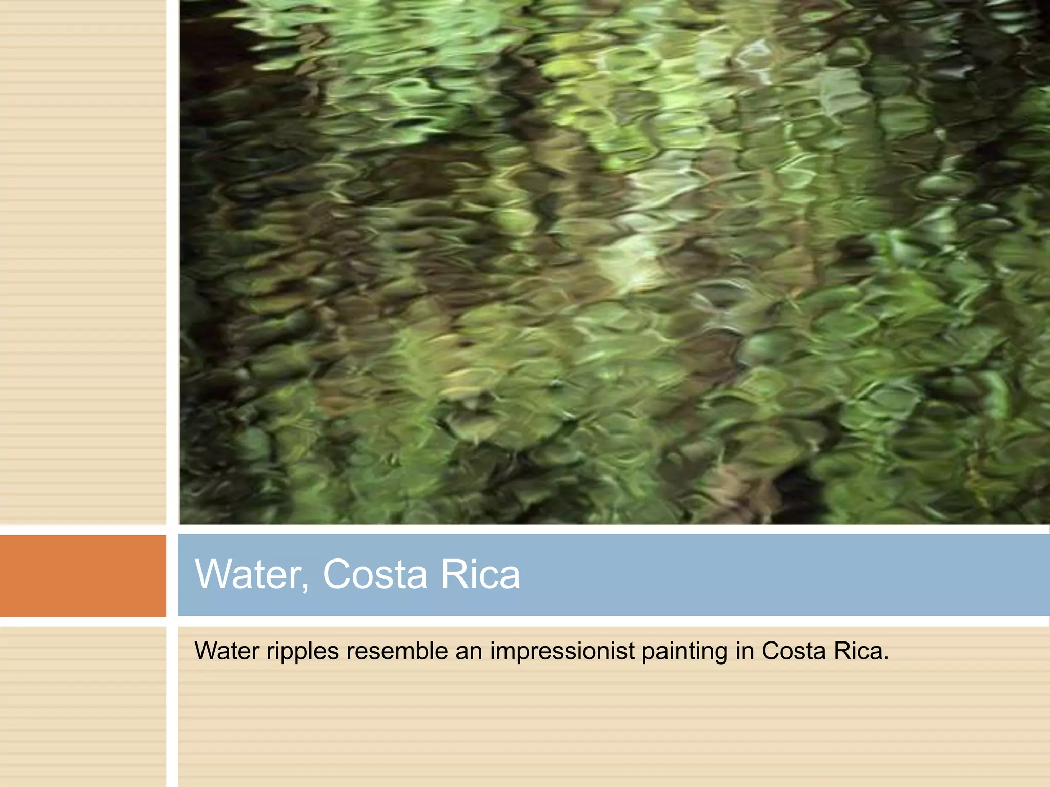 Patterns in nature | PPTX