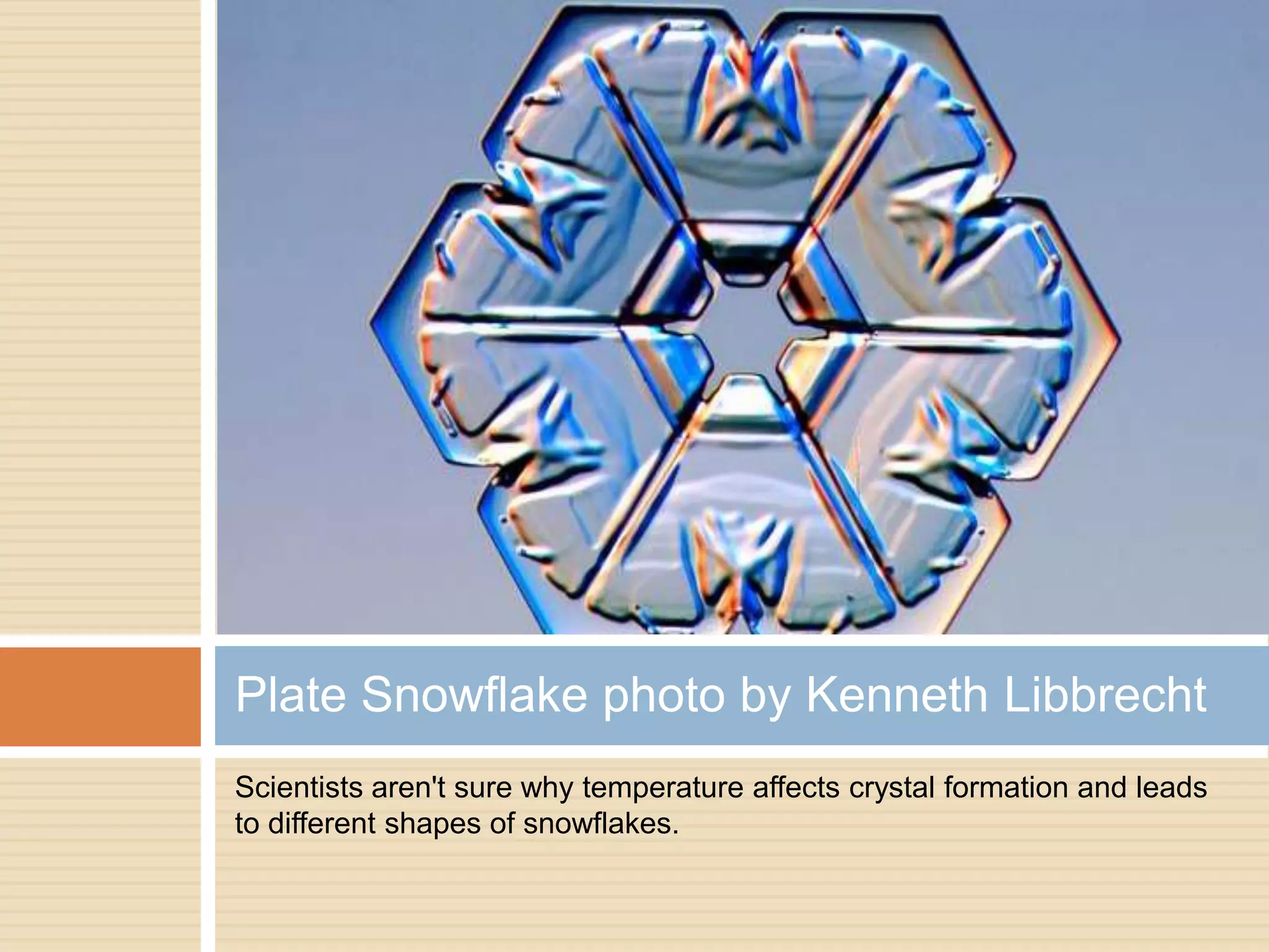 Patterns In Nature Pptx