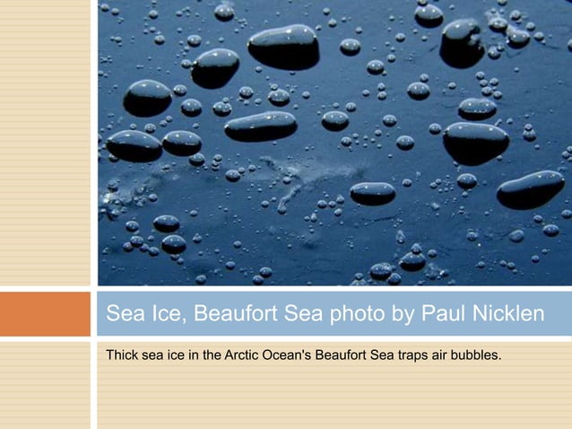 Patterns in nature | PPTX