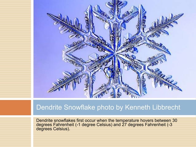 Patterns in nature | PPTX