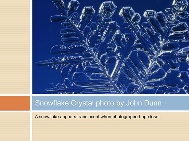 Patterns in nature | PPTX