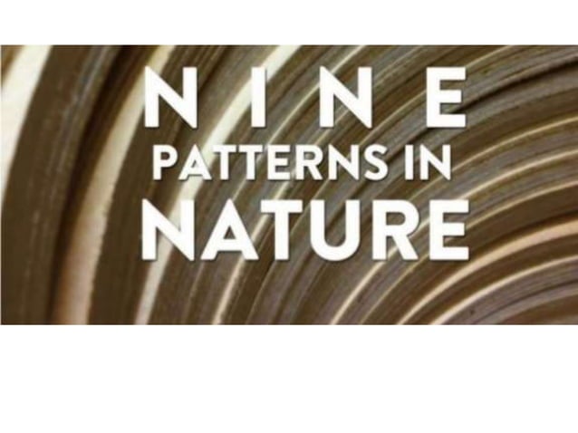 PATTERNS IN NATURE.pptx | Geology | Science