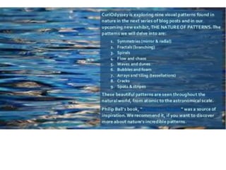 PATTERNS IN NATURE.pptx