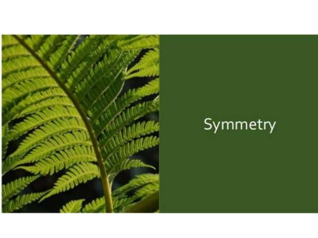 PATTERNS IN NATURE.pptx | Geology | Science