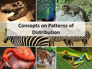 Patterns of biodiveristy | PPTX