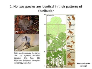 Patterns of biodiveristy | PPTX