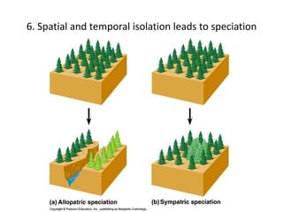 Patterns of biodiveristy | PPTX