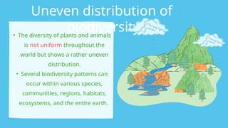 Patterns of Biodiversity -biodiversity and conservation | PPTX