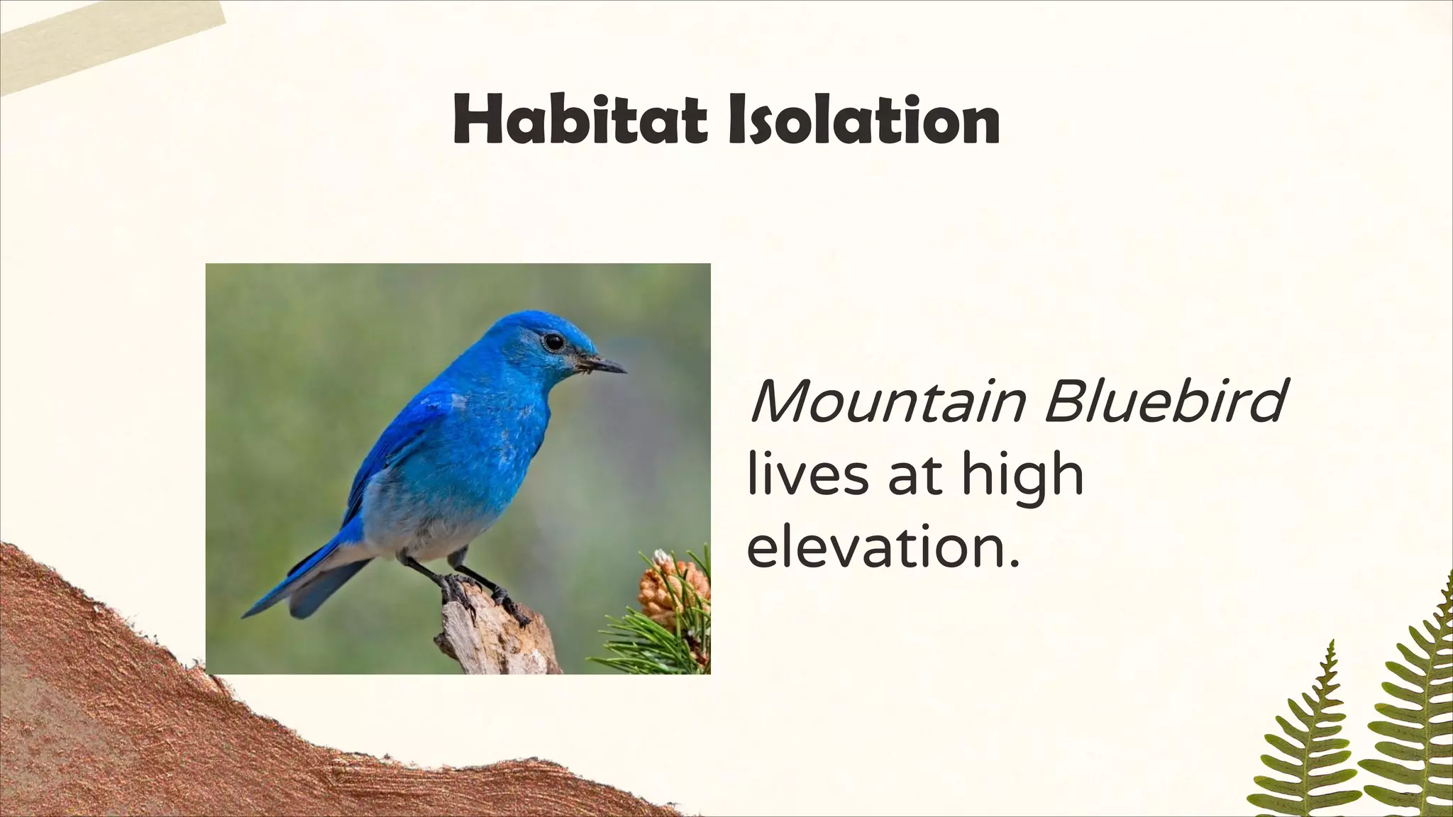 Patterns of Descent with Modification.pdf
