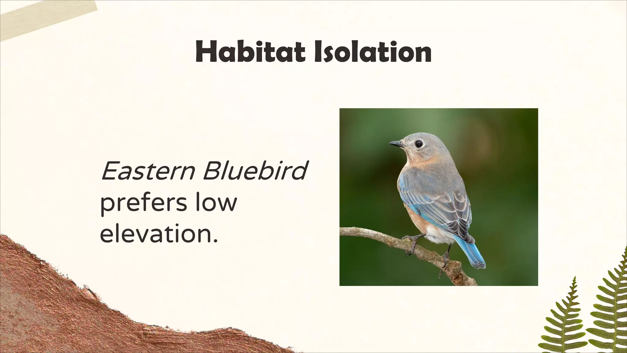 Patterns of Descent with Modification.pdf