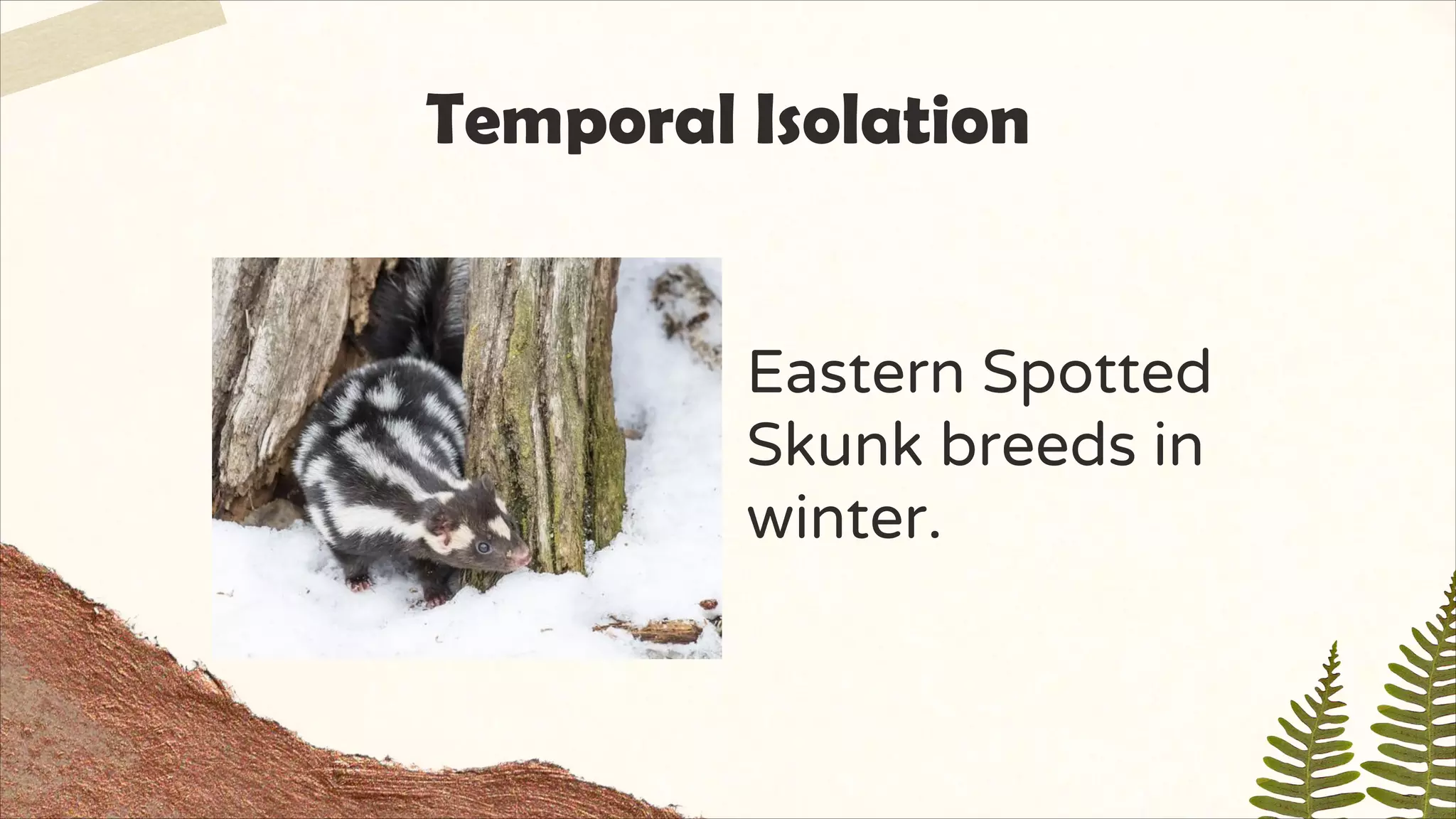 Patterns of Descent with Modification.pdf