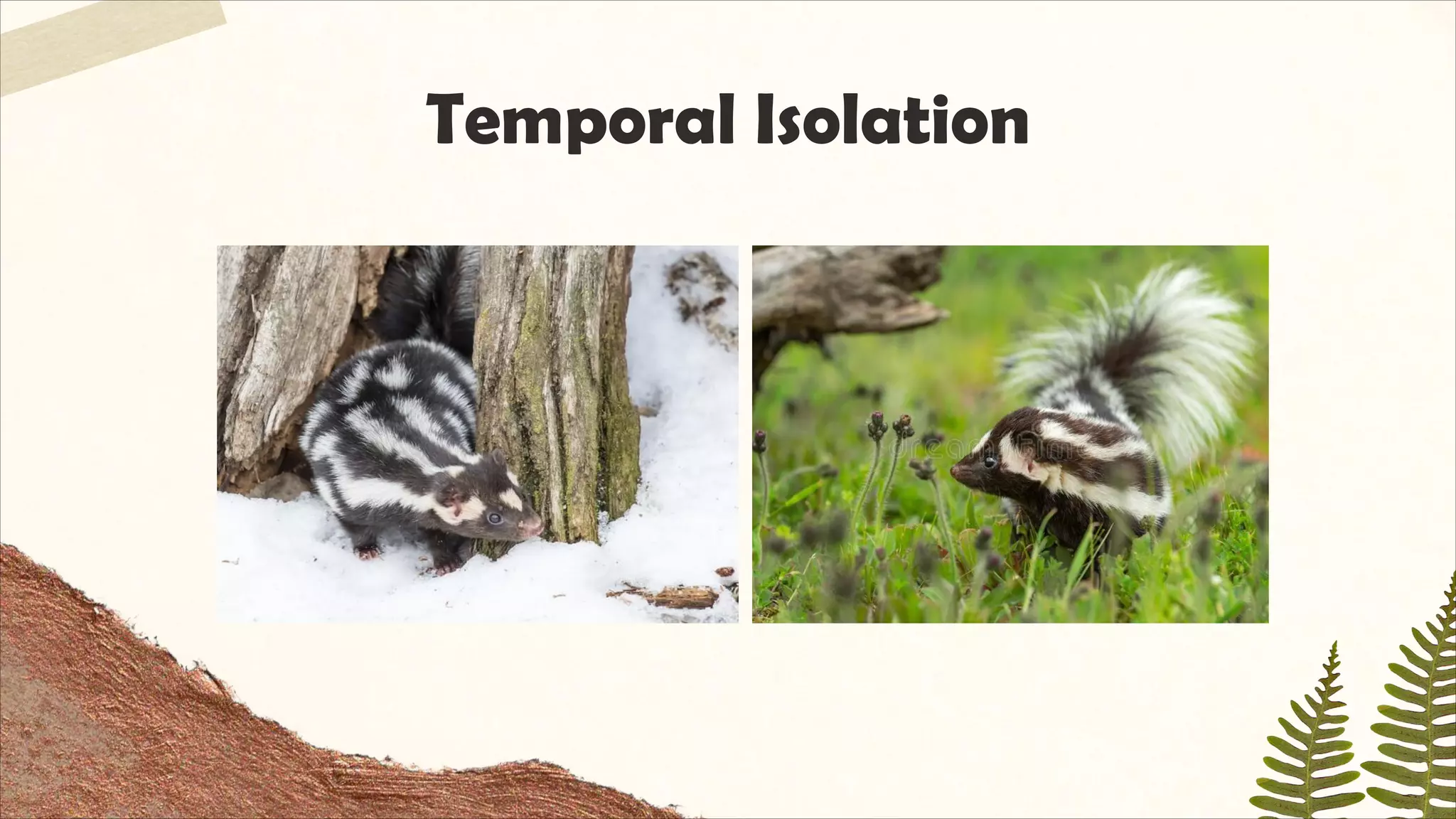 Patterns of Descent with Modification.pdf