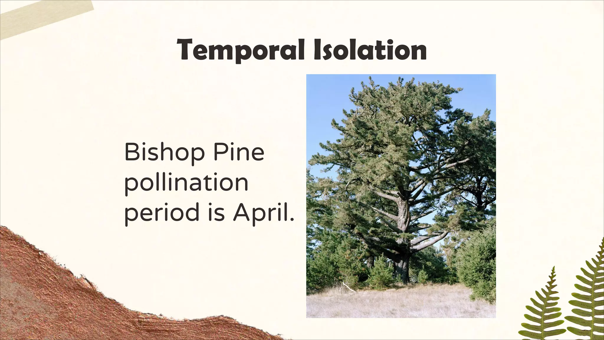 Patterns of Descent with Modification.pdf