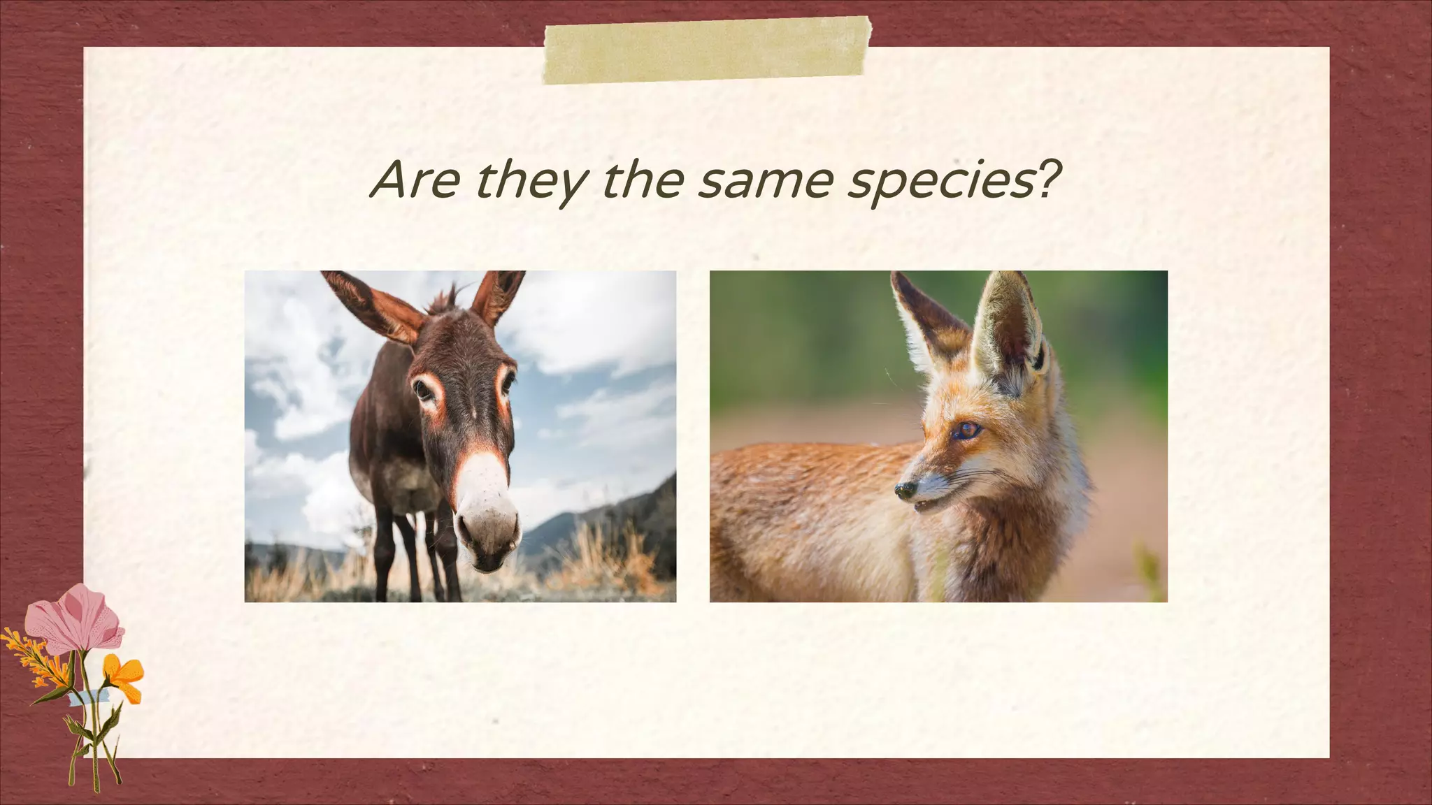 Patterns of Descent with Modification.pdf