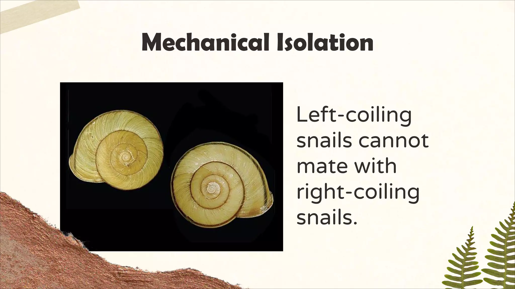 Patterns of Descent with Modification.pdf
