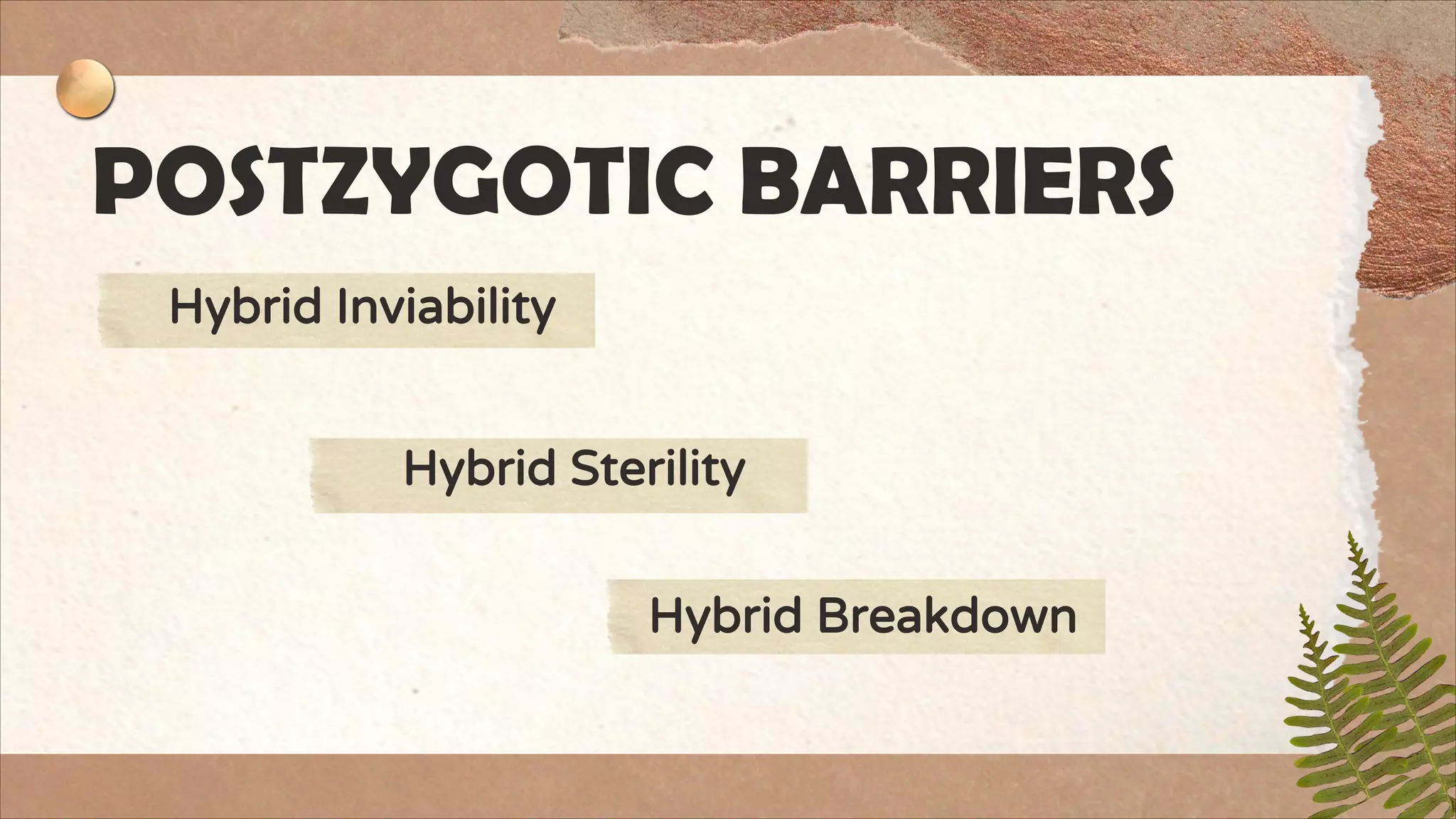 Patterns of Descent with Modification.pdf