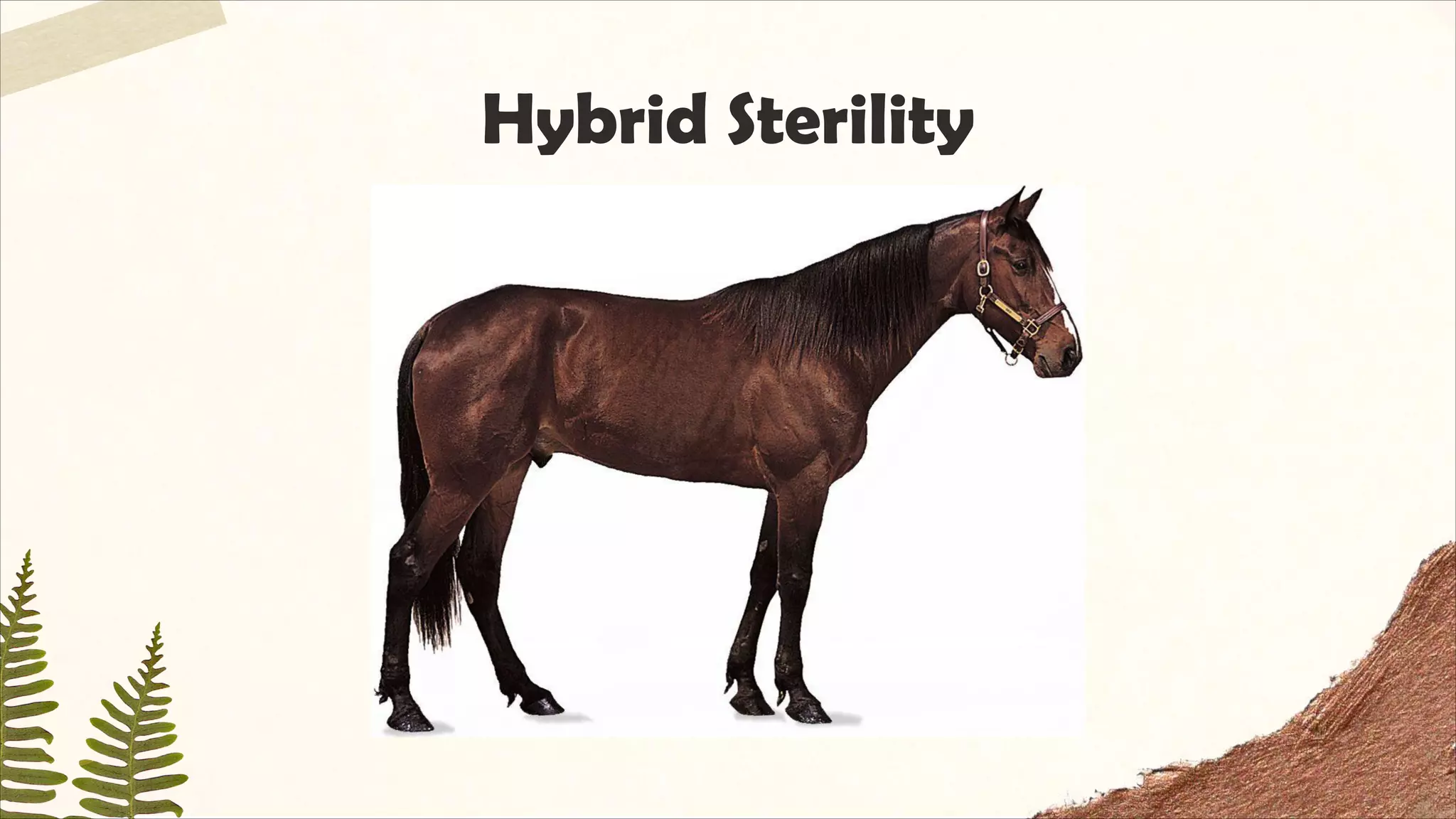 Patterns of Descent with Modification.pdf