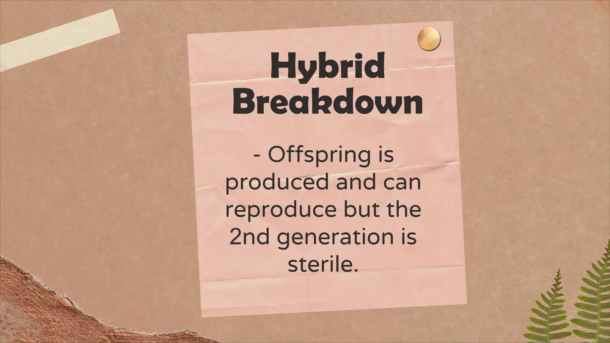 Patterns of Descent with Modification.pdf