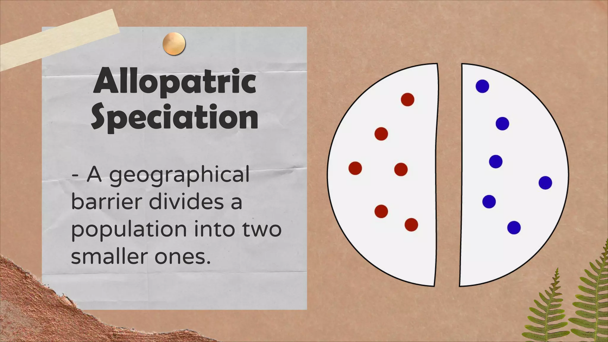 Patterns of Descent with Modification.pdf